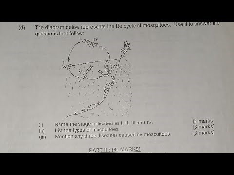 JHS 3 Science Mock Questions for BECE 2025