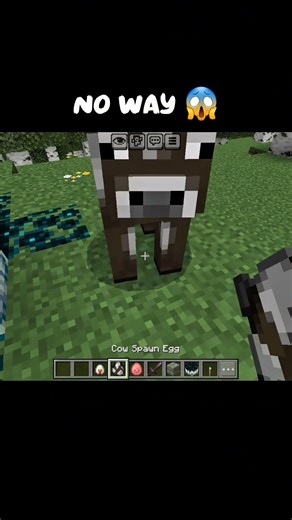 Minecraft Worden Misterious Thing 😱 #minecraft #video #shorts