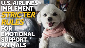 Do you think these U.S. airlines are making the right call? http://bit.ly/2C8T3br | KSBW TV Action News 8