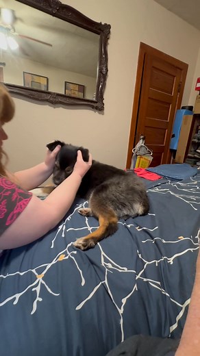 2.9K views · 233 reactions | Ruby and mom wrestling. | Ruby's Adventures | Facebook