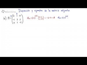 Definición y ejemplos de la matriz adjunta