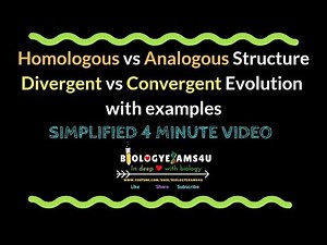 Homologous vs Analogous Structure, Divergent vs Convergent Evolution with examples