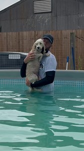 8.1K views · 325 reactions | Cockapoo Chloe’s first swimming experience went really well  | Canine Dip and Dive Maldon | Facebook