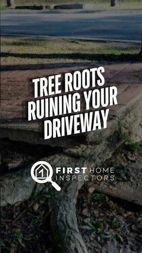 Tree Roots Ruining Your Driveway? | Las Vegas Home Inspector