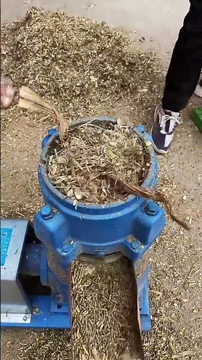 Four rollers feed pellet making machine #fyp #fcnfm