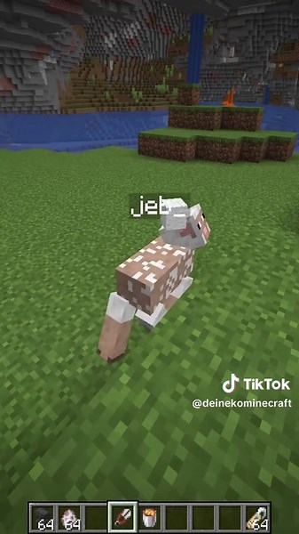 Trimming Jeb Sheep in Minecraft: A Guide