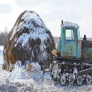 59K views · 149 reactions | Moving trees on the snow | Magic | Facebook