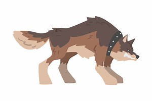 Piloerection in Dogs: Scared, or Just Glad to See Me? - The Other End of the Leash