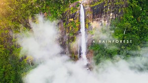 17K views · 533 reactions | Visit Sri Lanka #visitsrilanka #YOULLCOMEBACKFORMORE ❤️퓥퓲퓼퓲퓽 퓢퓻퓲퓛퓪퓷퓴퓪 ❤️ YOU'LL COME BACK FOR MORE | Visit Sri Lanka | Facebook