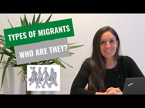 Types of migrants