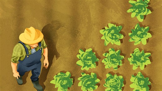 DOGE keeps gaining access to sensitive data. Now, it can cut off billions to farmers