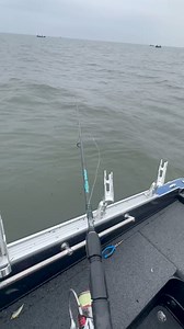 ⚠️The Berkley Fireline says: Danger is near…. #BerkleyFishing #CiscoFishingSystems #walleye #walleyefishing #fishing #outdoors #nationalwalleyetour #GreenBay #WI #wisconsin Berkley Fishing / Cisco Fishing | Keith Kavajecz
