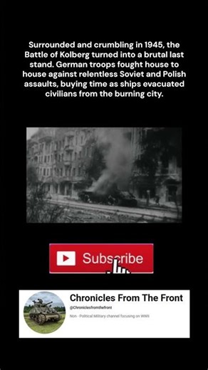 A Tiny Spanish contingent standing against the Soviet Juggernaught to the end