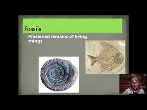 Lab 15 Evidence of Evolution Presentation