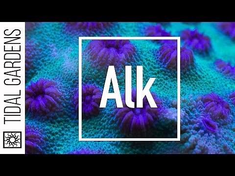 Reef Chemistry: Alkalinity Level Testing