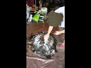 Building Organic No Till Soil From Scratch