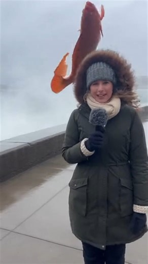 Reporter gets surprise visit from flying fish 🐟 A reporter by a stormy bank has a surprising encounter with a fish that flies up out of the water. #flyingfish #fish #reporter This video and story are for entertainment purposes only and was created with A.I. No animals were harmed in making this video | Mike's Mayhem