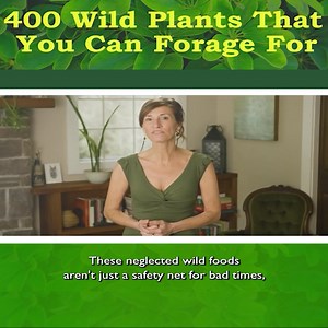 9.9K views · 79 reactions | Foraging isn’t only a cool new skill to...