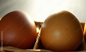 egg chicken food macro video footage texture closeup slow motion lens probe detail