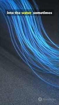 🌊 How Internet(Network) Cables Are Installed Under the Ocean | Simple Overview