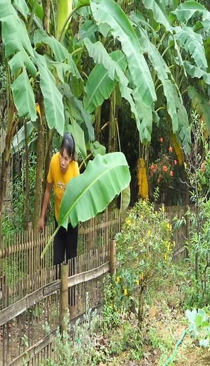 single mother - taking care of two sons, taking kids to school, roofing garage, gardening | Delicious Cooking