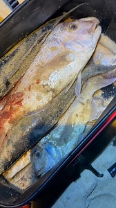 All people on the beach bagged out last night !!! 😂🥰 #fishing | Loc Vo