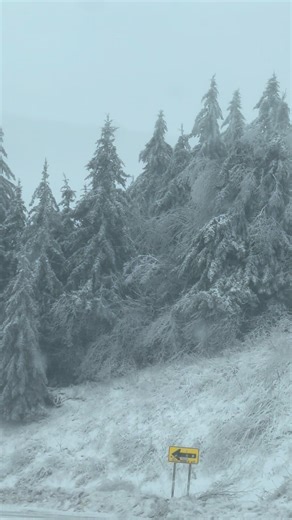 -4 degrees, a foot of snow, 2 inches of ice, we almost saw Jesus but the Tesla self drive took us home safely. 🥶🥶🥶#tesla #ice #snow #fbreelsfypシ゚viralシ 🥶🥶⛷️ | Sangta Meas