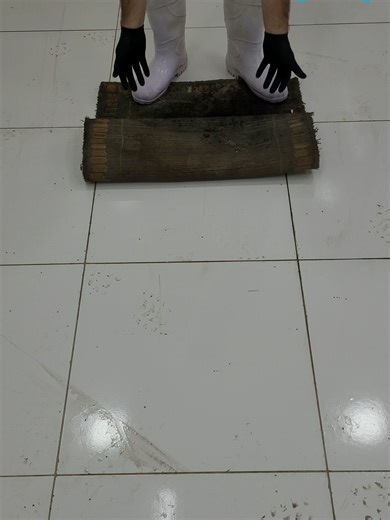 Satisfying Fluffy Carpet Cleaning ASMR Video