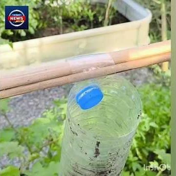 OBUTONDE: Vertical farming from plastic and bottles