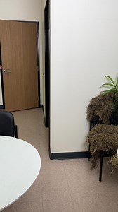 67K views · 252 reactions | Woman hides from police #Reels | Simulated Reality | Facebook