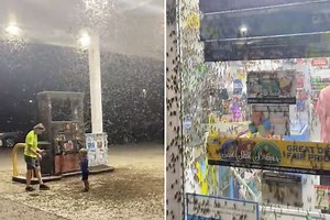Horrifying footage shows insects covering gas station in apocalyptic scene