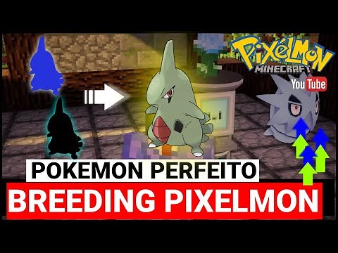 Breeding Pixelmon Minecraft Guia para INICIANTE! Atualizado