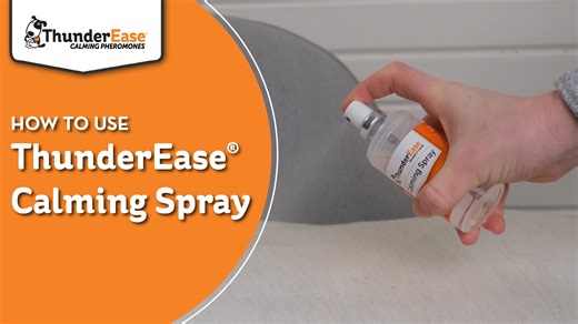Watch How to Use ThunderEase Spray on Amazon Live