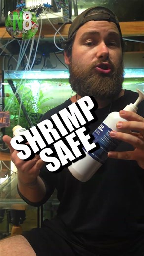 This Fixed My Aquarium Plants (I Was Doing It Wrong)