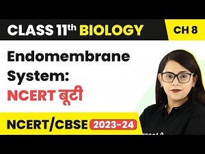 Endomembrane System: NCERT बूटी - Cell: The Unit of Life | Class 11 Biology