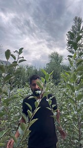 Booking Open Now Phone Number South Kashmir phone number 9797084904 North Kashmir 7780804265 | Kvf Kulgam