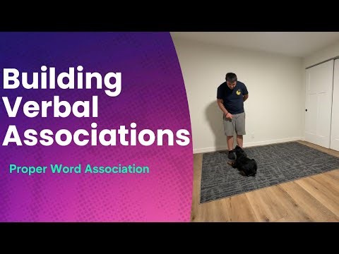 Building Stronger Word Association - Down Command & Release Training