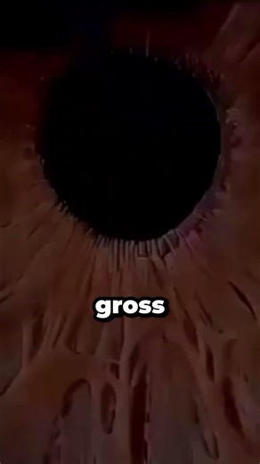 Normal things that look bizarre under a microscope