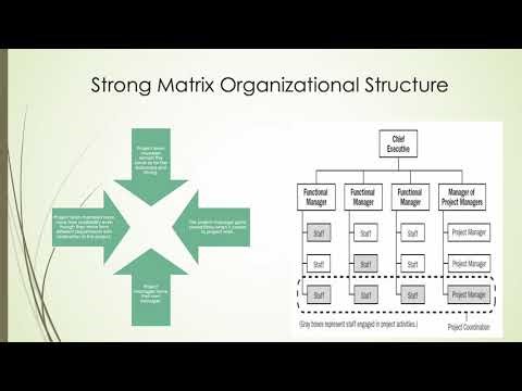 Organizational Structure