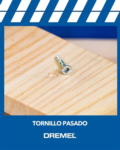 3K views · 34 reactions |  ¿Necesitas sacar un tornillo pasado y no sabes cómo hacerlo? ¡Te contamos el truco!  Con ayuda de la Dremel Lite, un disco de corte premium y el mandril EZ SpeedClic podrás conseguirlo fácilmente. Sigue el paso a paso del vídeo y ponte manos a la obra. . . . . . #dremel #dremelespana #dremellite #manualidades #diy | Dremel España | Facebook