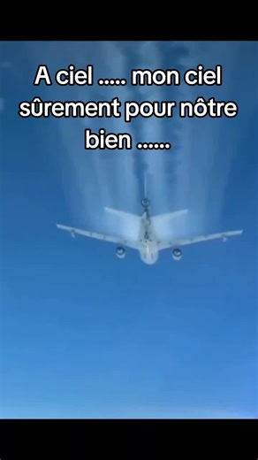 Vidéos de savarino20 (@savarino20) avec Final Stand - PaPaNeOn