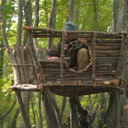I Built a Real-Life Treehouse Survival Shelter P1 #BushcraftLife #WildernessSurvival #OutdoorAdventure #PrimitiveSkills #NatureRestoration | WildWood Wanderer