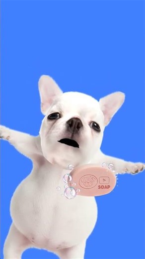 9 de novembro de 2025