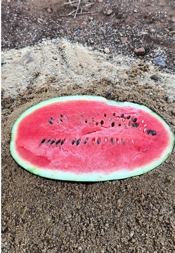 Wow! Smart ideas and Useful with Watermelon #tiktok #bushcraft #camping #outdoors #survival