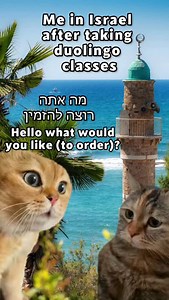 just comment "BF" below for my step by step Hebrew beginner's courses with 50% off for black friday⬇️ | Prohebrew