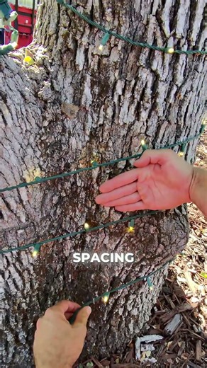 The Professional Way to Wrap Tree Lights (Hand-Width Spacing) 🎄
