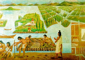 Build an Aztec Water Garden