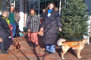 10 Best Places to Volunteer Your Time