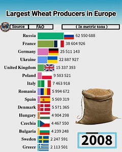 428K views · 1K reactions | Largest wheat producers in Europe from...