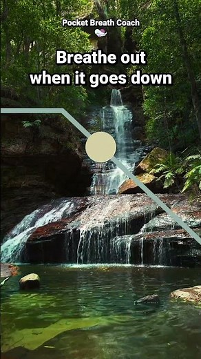 Deep Calming Breaths: 4-4-8 Method